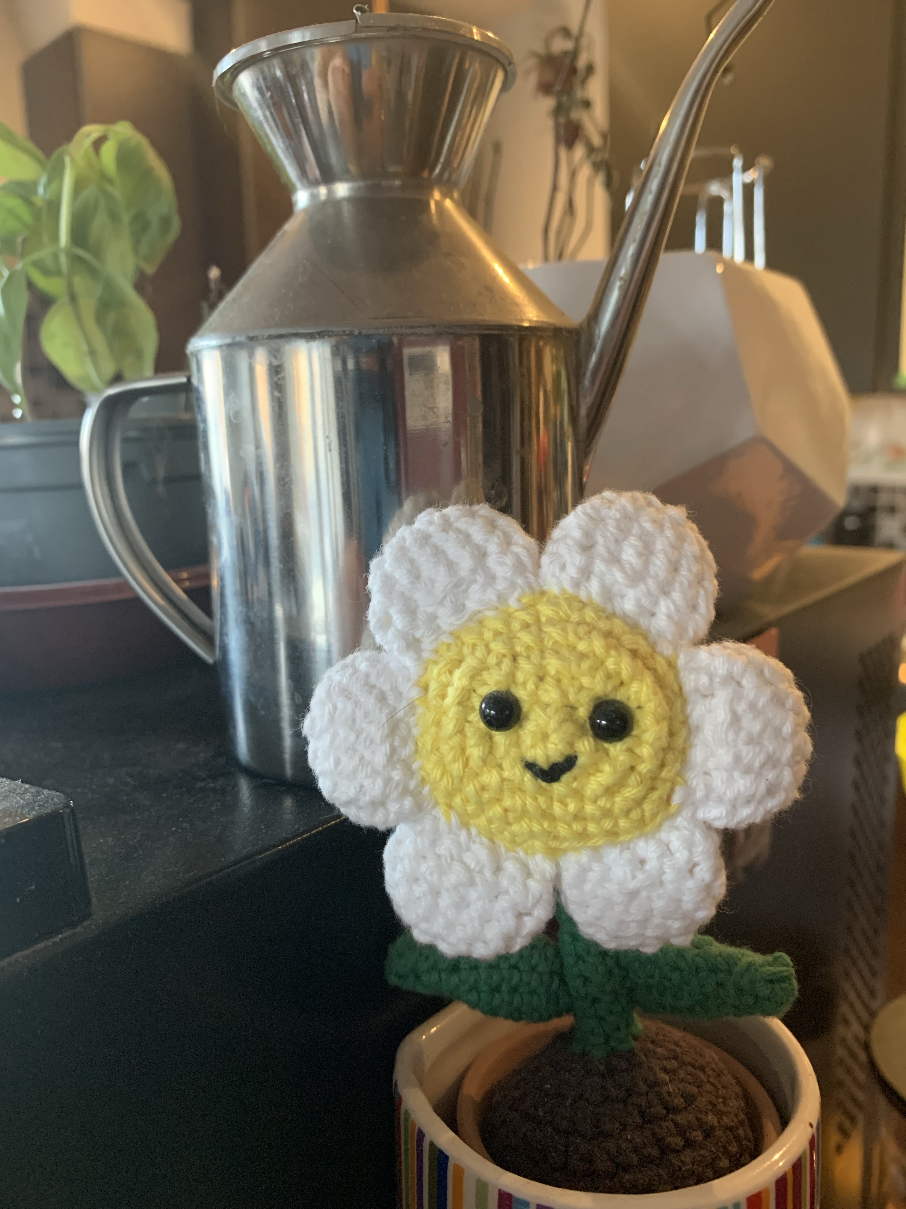 Bladder problems and MS – My take on life with MS